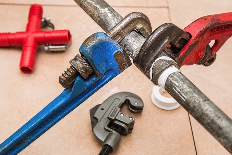How Fast Does Mold Grow After a Water Leak – HumidityCheck.com